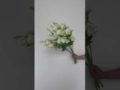 3 pieces of simulated Campanula flowers, home decoration ornaments, silk flowers, photography props,