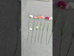 Des œillets à fleurs artificielles, des objets de décoration intérieure, des bouquets de mariage en plein air, des décorations de scènes, la vente en gros de fleurs artificielles et de plantes vertes