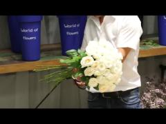 70 sheets of waterproof flower bouquet wrapping paper, fully transparent cellophane flower packaging