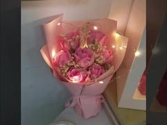 Valentine's Day 520 Starry Sky Dried Flowers Rose Bundle for Boyfriend and Wife Holiday Gift Romantic Companion Gift
