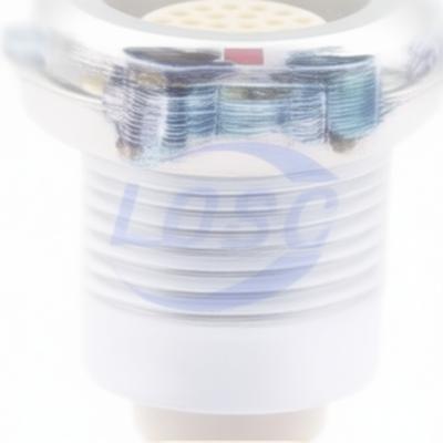 China LICQ R EGG 2B 32 CSL Rear Fixed Socket Designed To Withstand Vibration Salt Spray And Plugging Tests for sale
