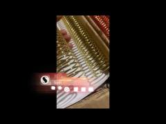 Binding spiral