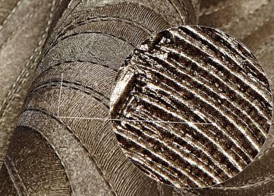 Cina Modello della foglia di Brown impresso carta da parati lavabile del vinile fornire domestico in vendita