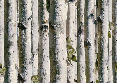 Cina Carta da parati della casa 3d dell'albero di betulla grigia/nessun isolamento termico tossico della carta da parati del salone in vendita