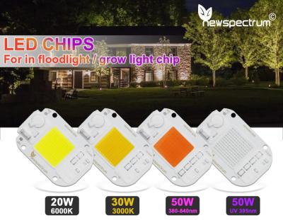 Cina Modulo a LED UV da 20W a 30W AC COB Driveless per riflettori esterni in vendita