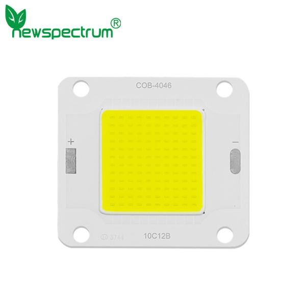 6000k gelijkstroom-MAÏSKOLF van de LEIDENE Volledige Spectrum Module het Hoge Helderheid 20W 6000k