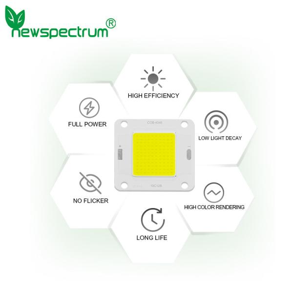 6000k gelijkstroom-MAÏSKOLF van de LEIDENE Volledige Spectrum Module het Hoge Helderheid 20W 6000k