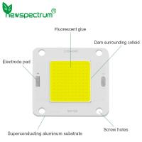 China Full Specturm Flip Chip COB LED Module Customized Logo For Spotlight for sale