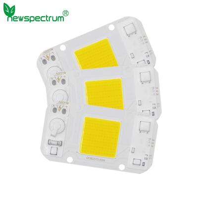 China 30W AC DC COB NO Driver Chip Led For DIY Floodlight Grow Light for sale