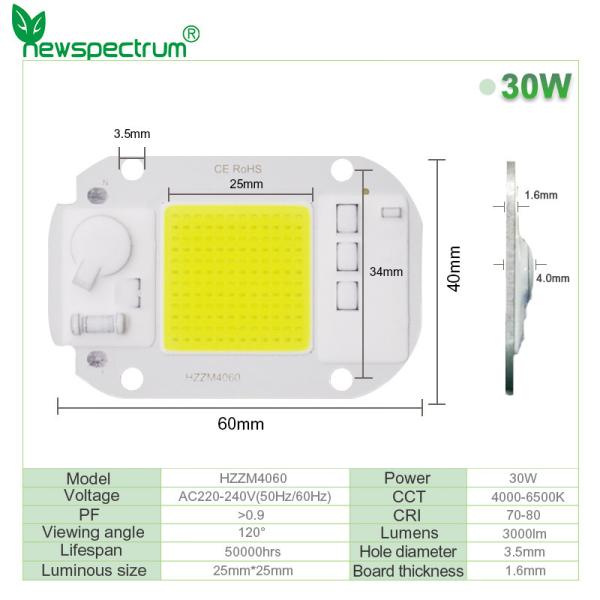 Dimensione 60mm COB LED Modulo 220V 1000K per la cura della lampada di crescita della pianta Chip