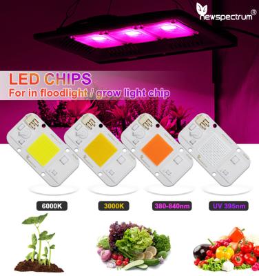 Cina Temperatura del colore UV materiale di alluminio del modulo 395nm del LED nell'industria medica in vendita