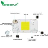 China 110V Led Cob Module NO Need Driver LED Matrix Chips Cold White for sale