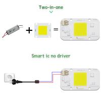 China 110V Led Cob Module NO Need Driver LED Matrix Chips Cold White for sale