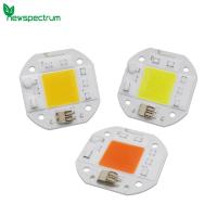 China High Lumen Output 50W LED Chip for sale