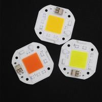 China High Lumen Output 50W LED Chip for sale