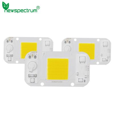 China Driverless AC 50W LED Chip Flip Chip Cob Led For DIY Floodlight for sale