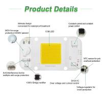 China Aluminum Material COB LED Module for sale