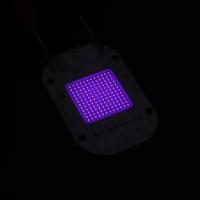 China Low Power Consumption Led Module 3000k IP65 Warm White Cob Led for sale