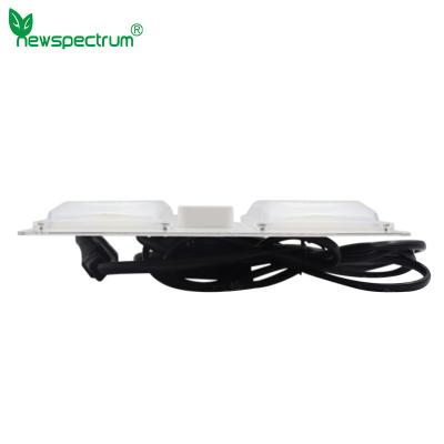 China AC 120V kweekt het Volledige Spectrum de Controle van de Lichtenschakelaar voor Serre Tuinbouwinstallaties Te koop