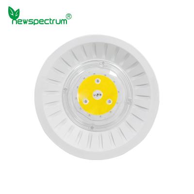 China Materiaal van het het Spectrummaïskolf Geleide Aluminium van AC110V 220V het Volledige voor Binnenserre for sale