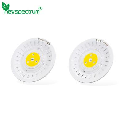 China 40W licht de MAÏSKOLF van de Hoofd barmodule AC110V 220V Chip For Indoor Greenhouse Plants Te koop