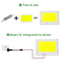 China 100w 150w Ac Cob Led Chip Linear Driver Free COB Light Source for sale