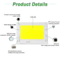 China 100w 150w Ac Cob Led Chip Linear Driver Free COB Light Source for sale
