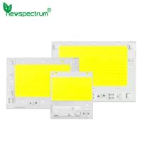 China 100w 150w Ac Cob Led Chip Linear Driver Free COB Light Source for sale