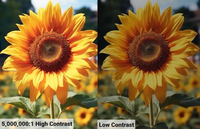 Close-up of high-resolution projection