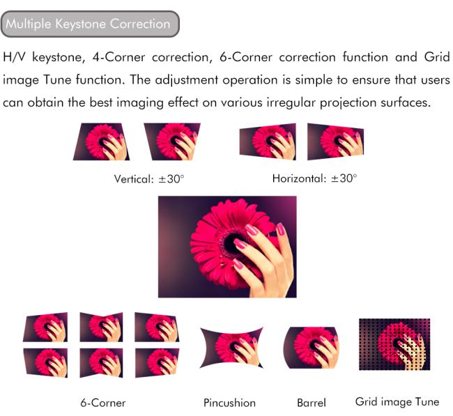 Projector connectivity options