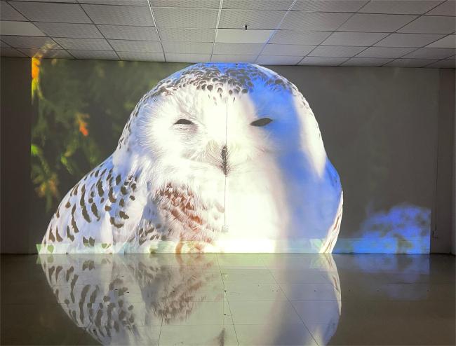 Projection quality demonstration