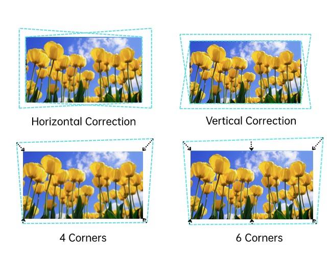 Projector in various environments