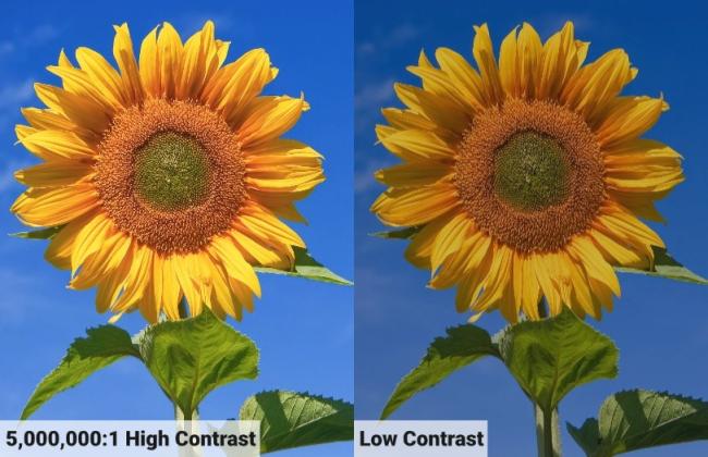 High contrast projection example