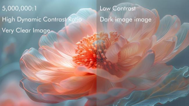 High contrast projection demonstration