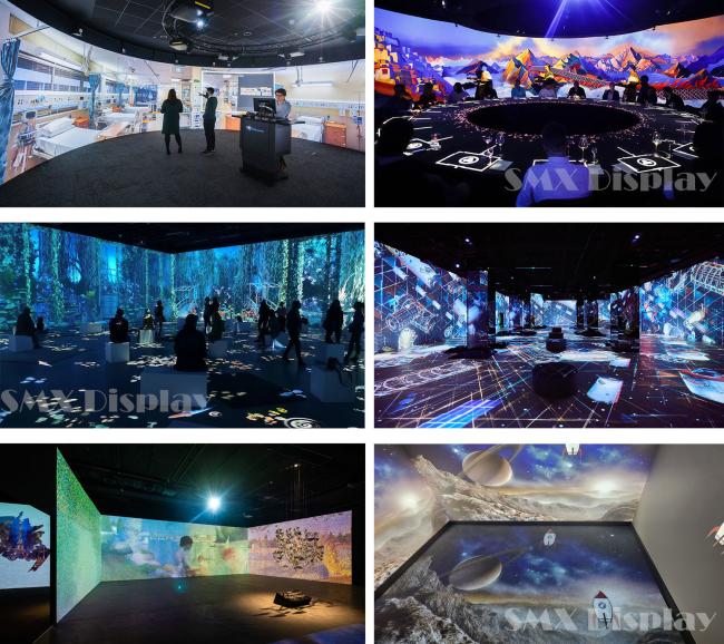 Immersive projection installation example showing large-scale display
