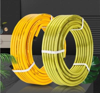 Cina LNG ss Flex Hose, tubo ondulato DN15 di acciaio inossidabile per gas in vendita