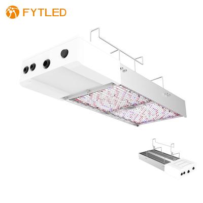 Cina luce progressiva di 2.7μmol/J T828 LED 5 anni della garanzia progettazione del radiatore bianco di colore di buona in vendita