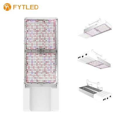 Cina luce progressiva di 2.7μmol/J T828 LED 5 anni della garanzia progettazione del radiatore bianco di colore di buona in vendita