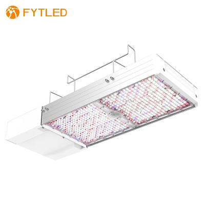 Cina luce progressiva di 2.7μmol/J T828 LED 5 anni della garanzia progettazione del radiatore bianco di colore di buona in vendita