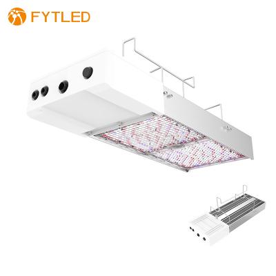 Cina Luce progressiva di T828 800W 0-10V Dimmable LED 5 anni di garanzia per Agrotech in vendita