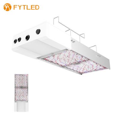 Cina Luce progressiva di T828 800W 0-10V Dimmable LED 5 anni di garanzia per Agrotech in vendita