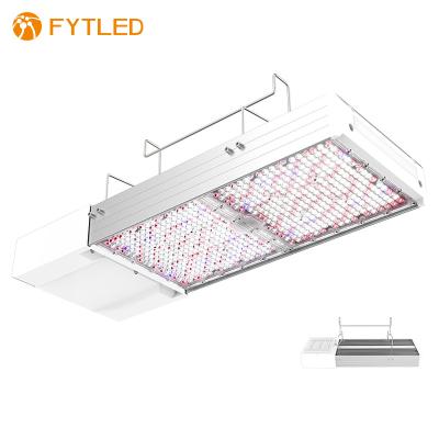Cina UL delle luci progressive T828 IP65 di 2.7μmol/J 800W LED per la crescita delle piante in vendita