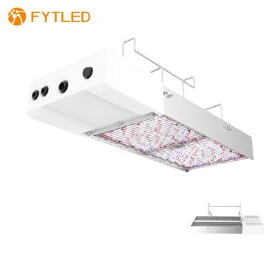 Cina Più nuova luce progressiva del LED 5 anni di garanzia con la buona lunghezza d'onda della luce progressiva del LED in vendita