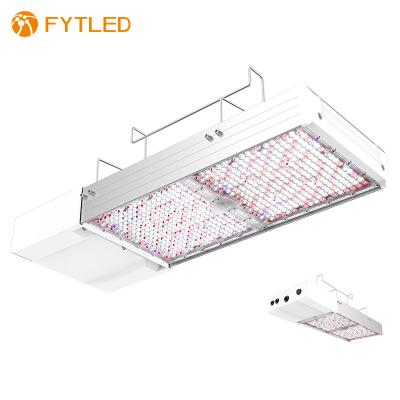 Cina Più nuova luce progressiva del LED 5 anni di garanzia con la buona lunghezza d'onda della luce progressiva del LED in vendita