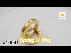 gold plating spring ring clasp engraved logo 30mm metal circular carabiner clips for bags accessorie