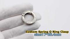 Custom Metal Spring O Ring 10001