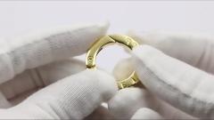 Gold Plating Zinc Alloy Spring O Ring