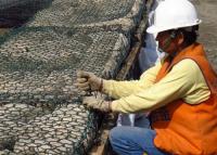 China Galvanized Gabion Basket 2-6m Length with 80x100mm Mesh and 245-265g/m² Zinc Coating for sale