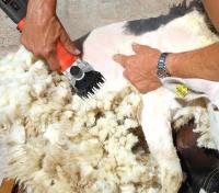 China 690W Automatic Sheep Shearing Machine 220V Electric Wool Shears for sale