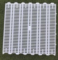 China PSF-01 50mm Plastic Slat Floor Poultry Broilers For Piglet for sale